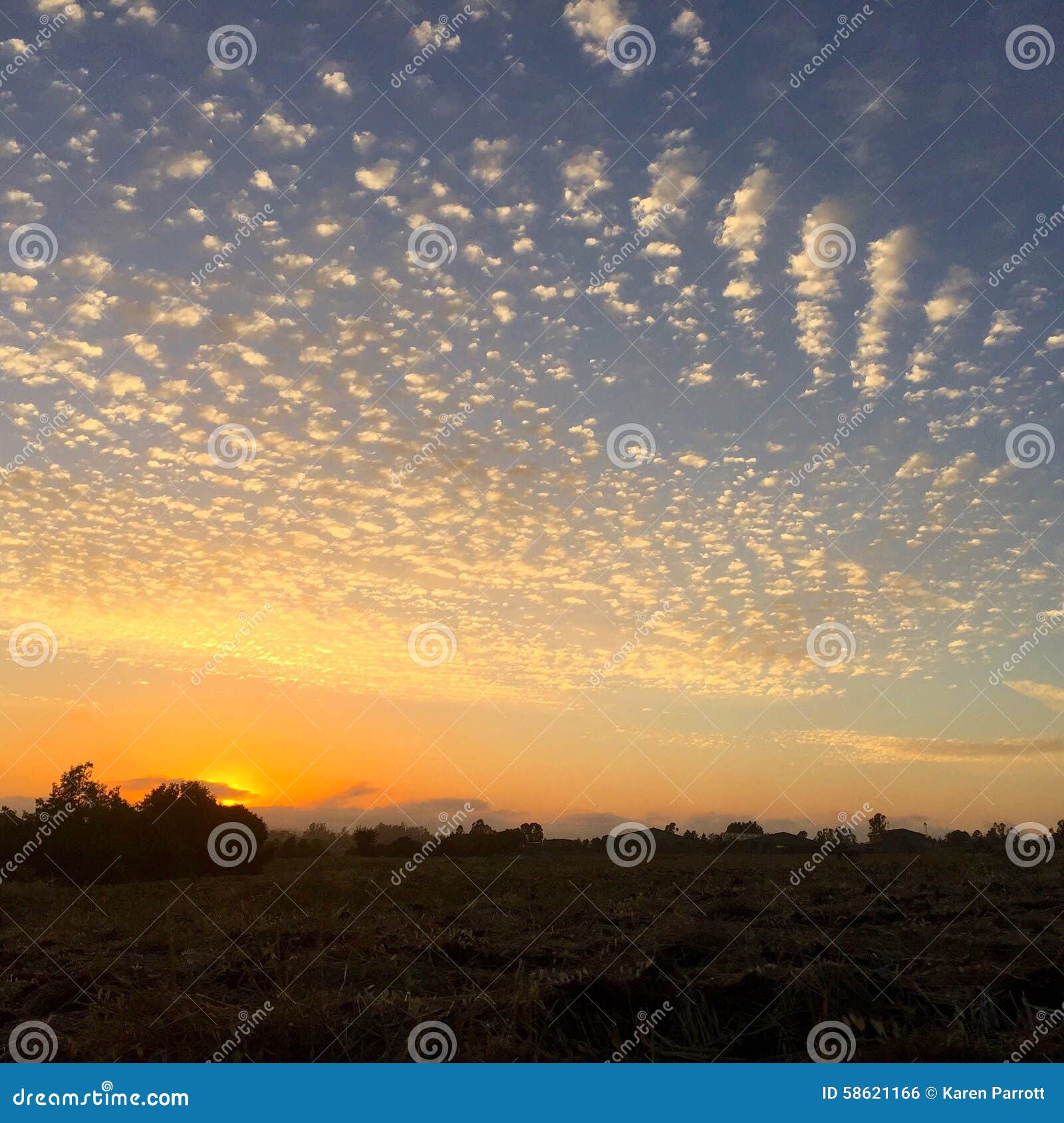 Dotted sunset stock photo. Image of farmscape, dotted - 58621166