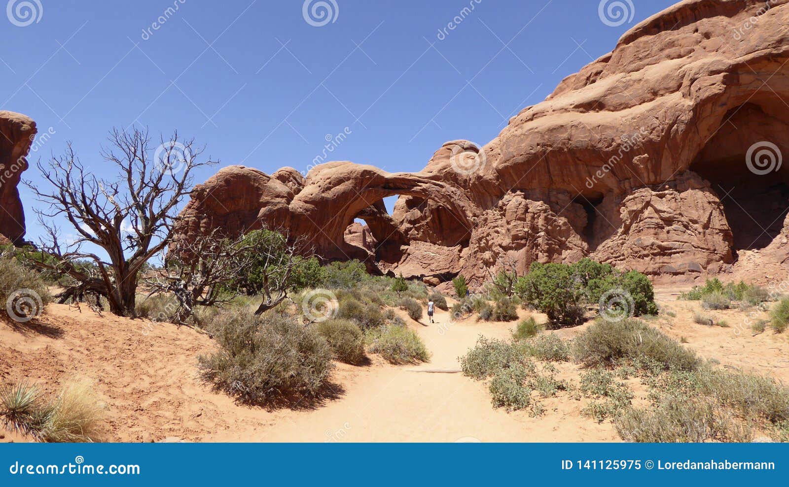 Double Arch, Arches National Park, USA Stock Image - Image of double ...