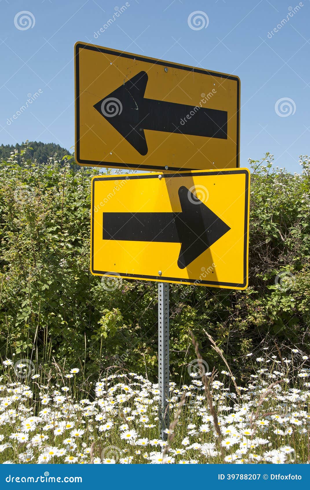 Double Arrow stock image. Image of left, yellow, road - 39788207