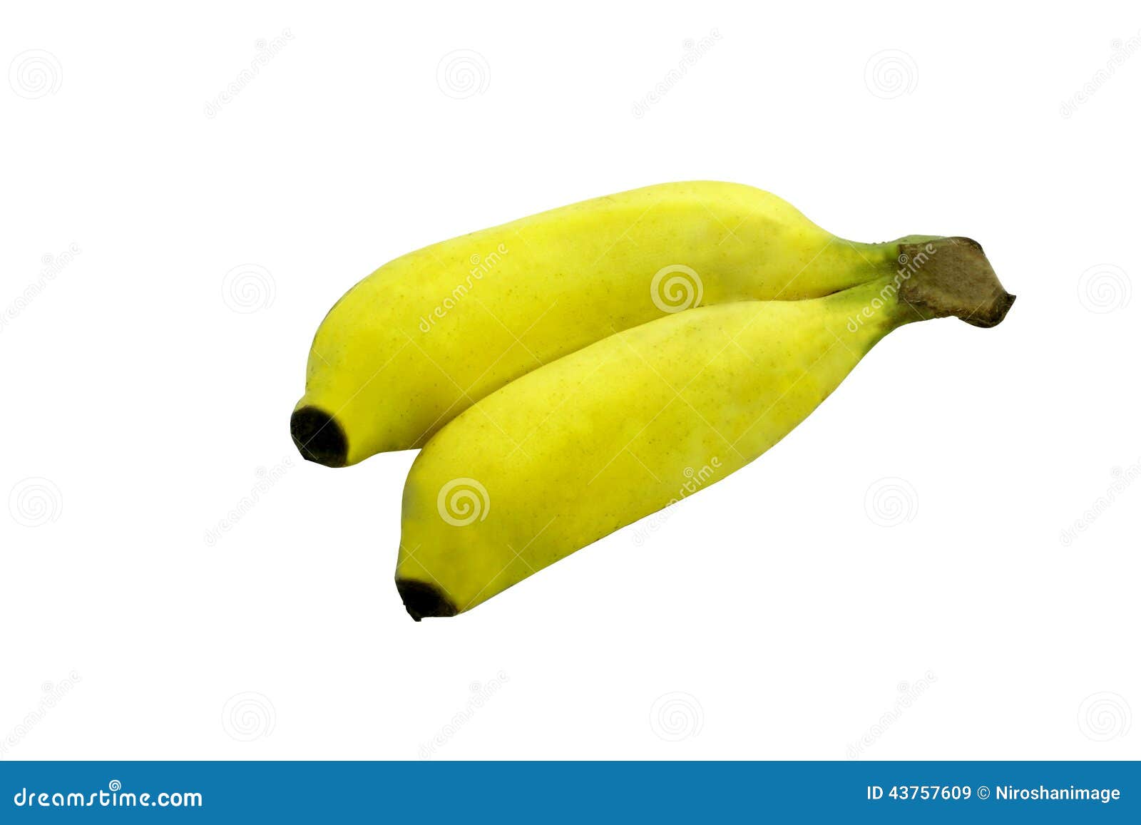 Double Banana Fruit Stock Photos - Download 209 Royalty Free Photos