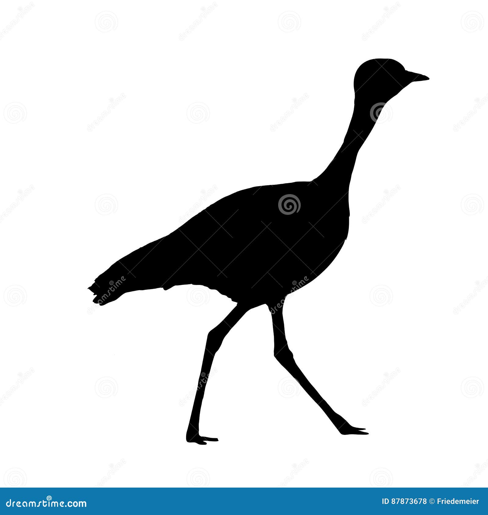 Double - Banded Courser Bird Black Silhouette Vector Illustration Flat ...