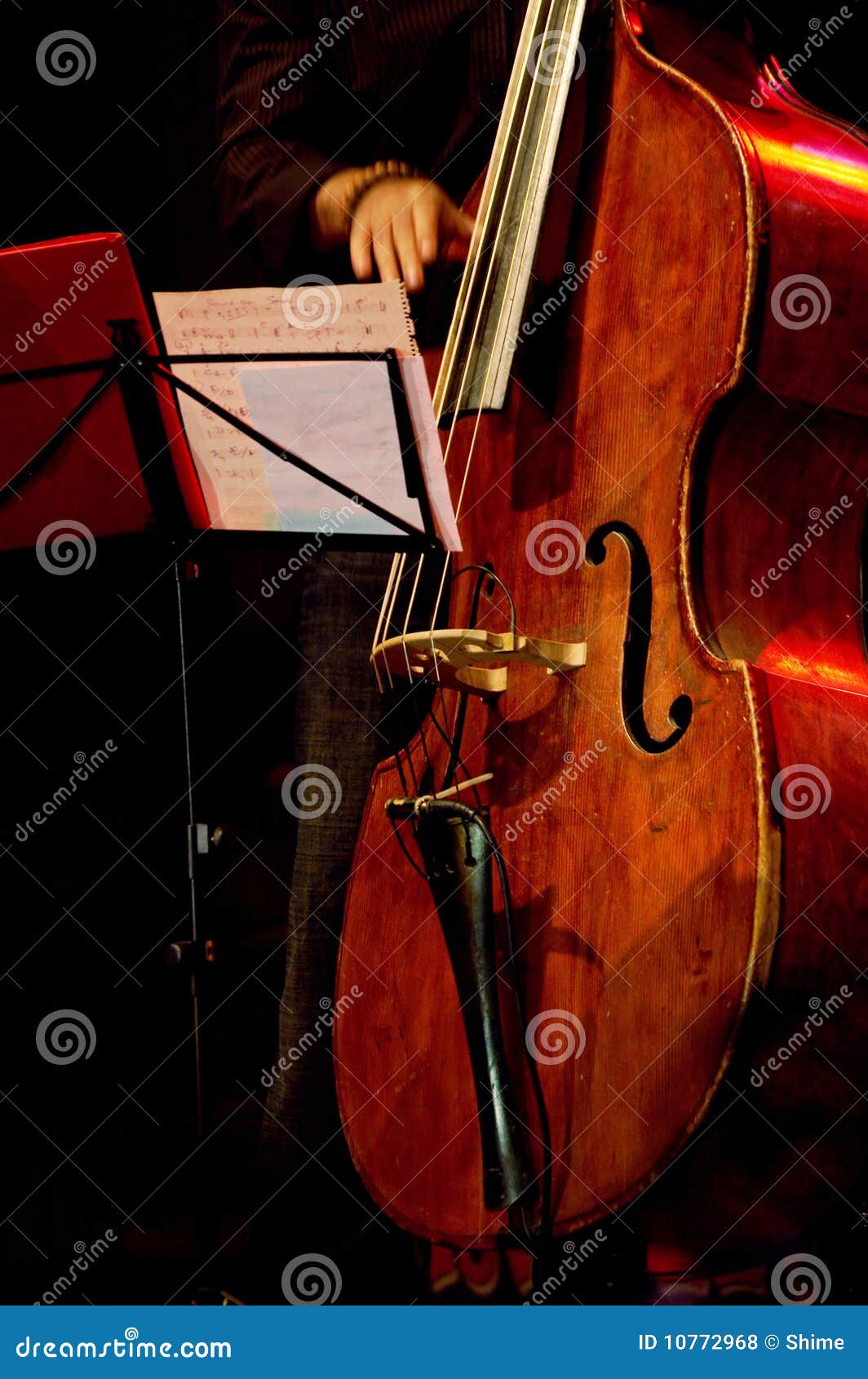 Double bass stock photo. Image of white, instrument, artist - 10772968