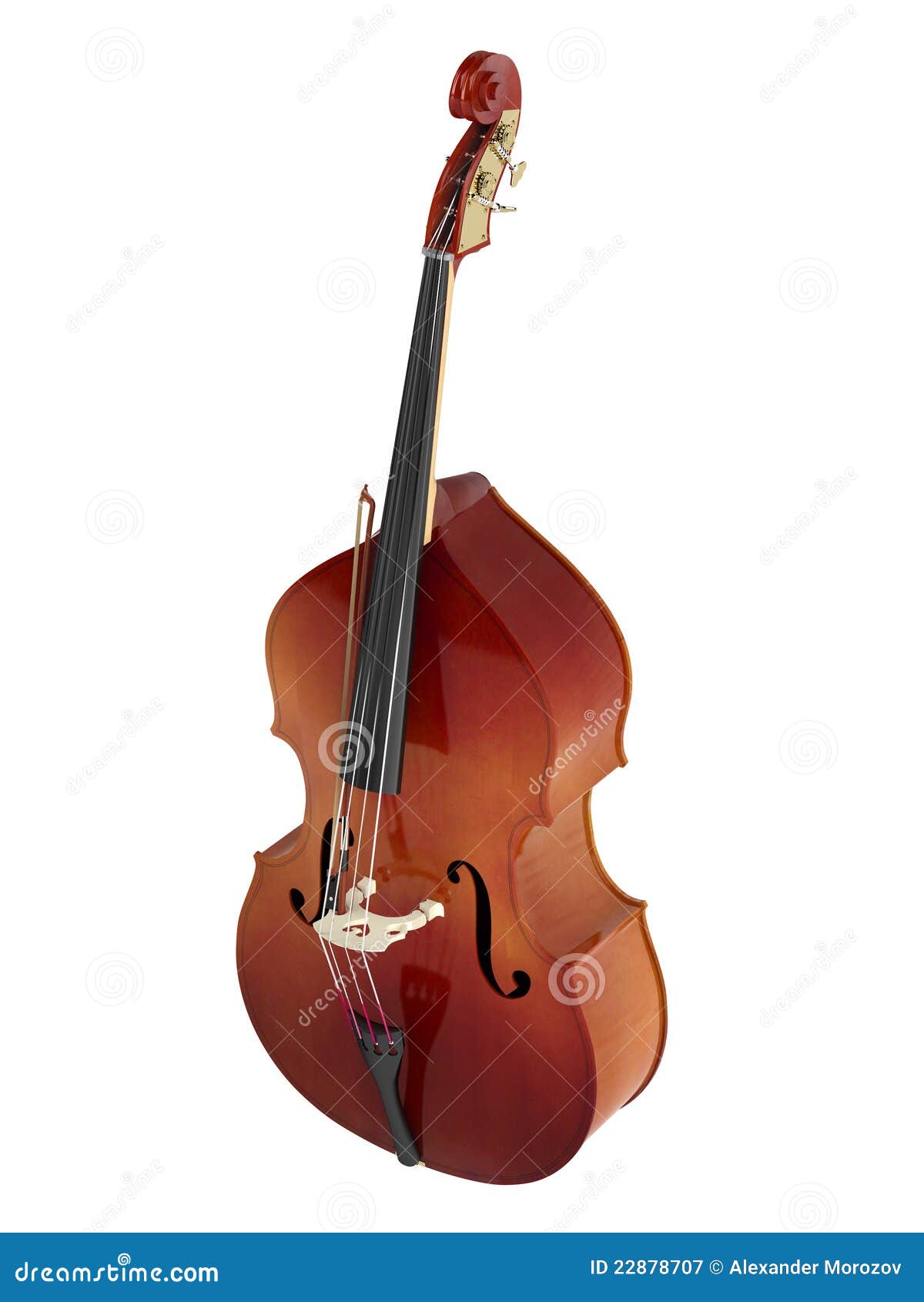 Double Bass Guitar With Its Parts Vector Or Color Illustration ...