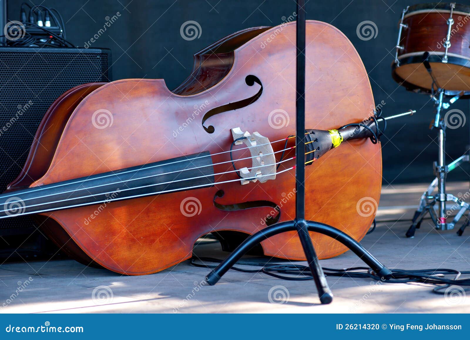 Double bass stock photo. Image of bass, amplifier, electric - 26214320