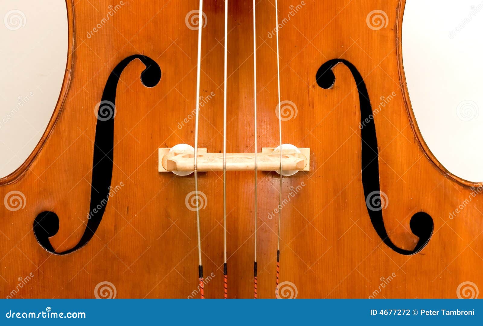 Double Bass stock photo. Image of cello, hole, double - 4677272