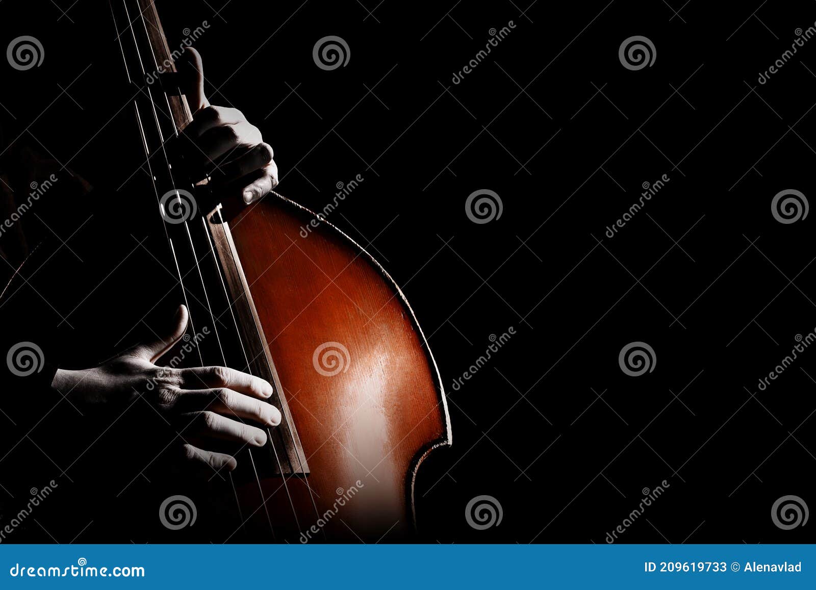 Double Bass. Hands Playing Contrabass Player Stock Image - Image of ...