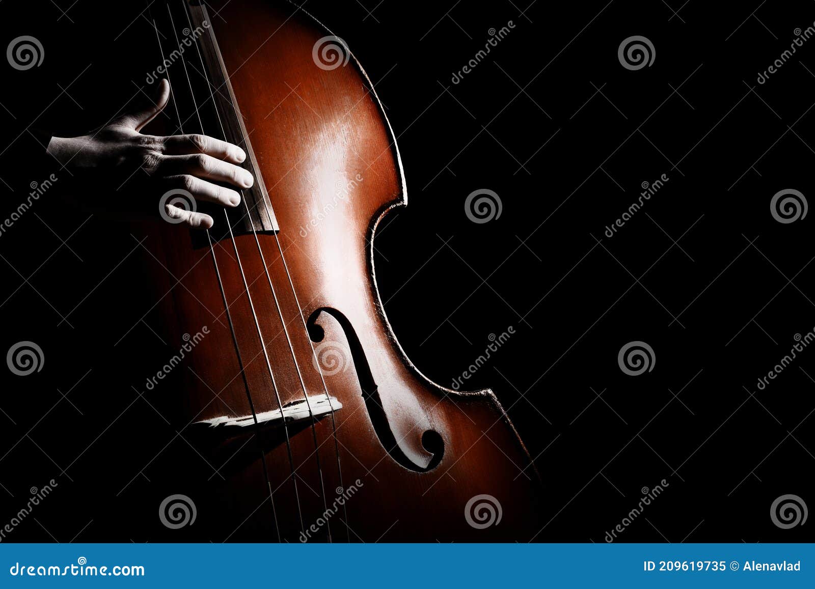 Double Bass. Hand Playing Contrabass Player Stock Image - Image of ...