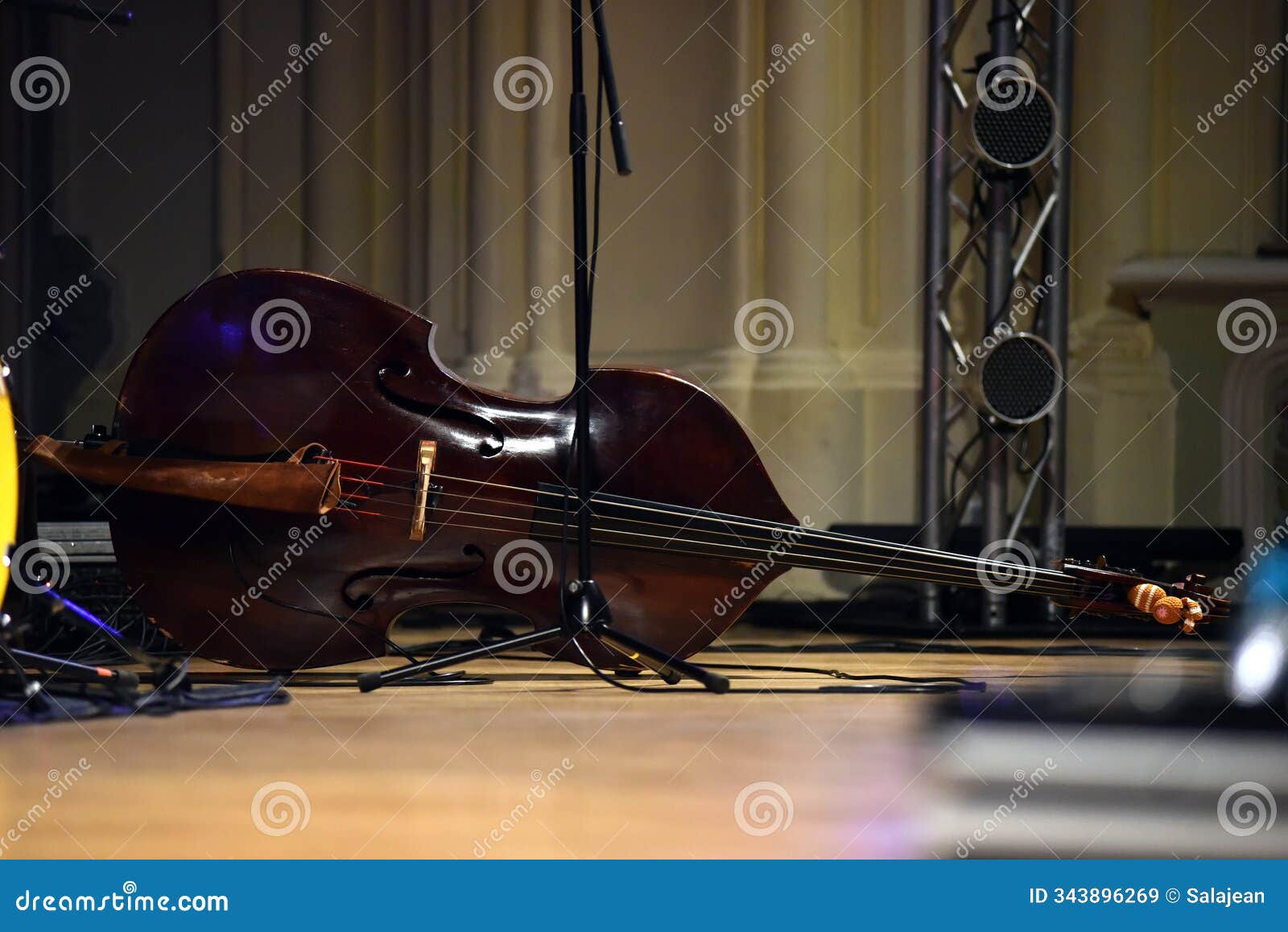 Double Bass Instrument on the Stage Stock Image - Image of violinist ...