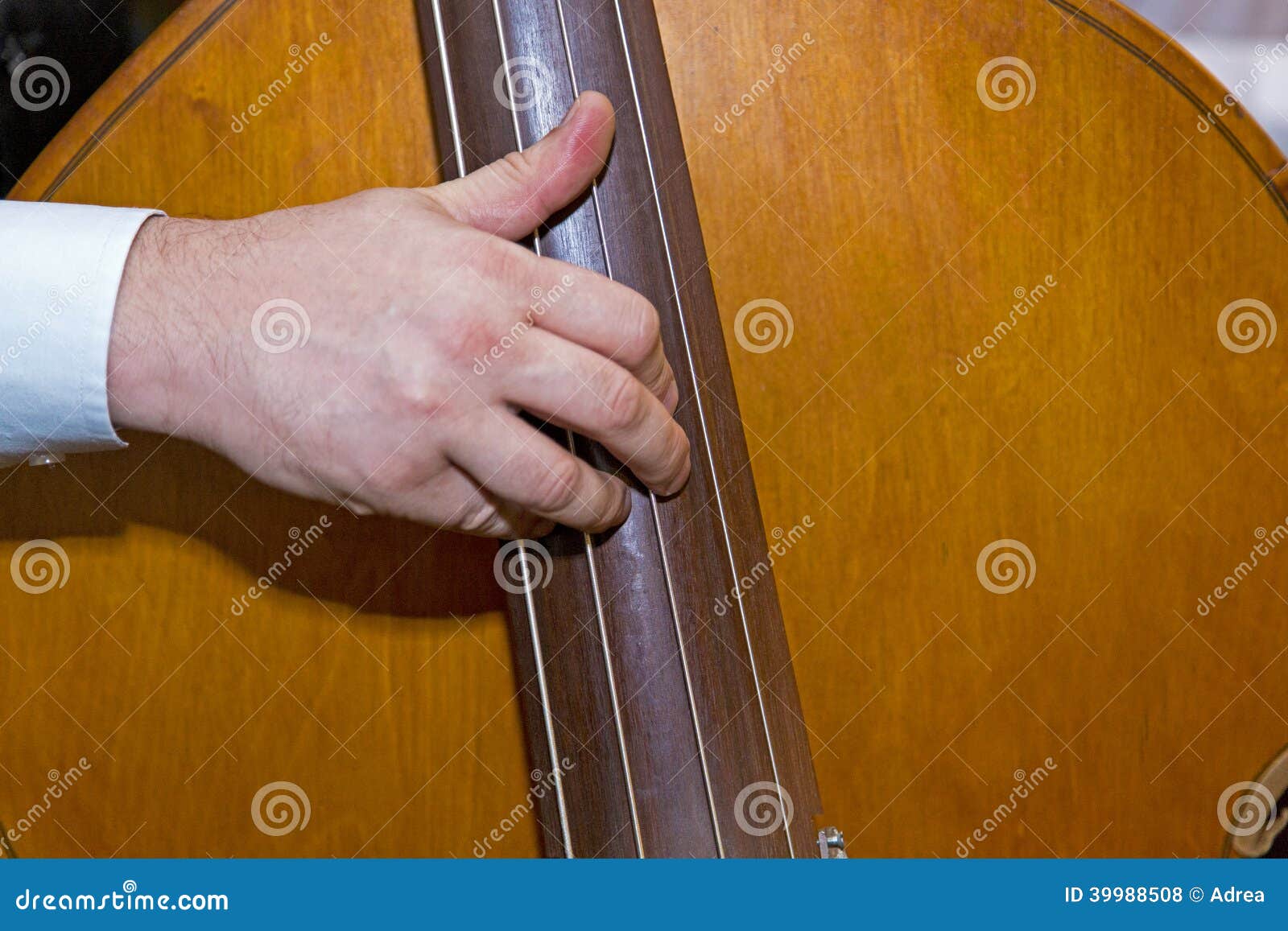 Singer Singing at His Double Bass Stock Photo - Image of pluck, swing ...