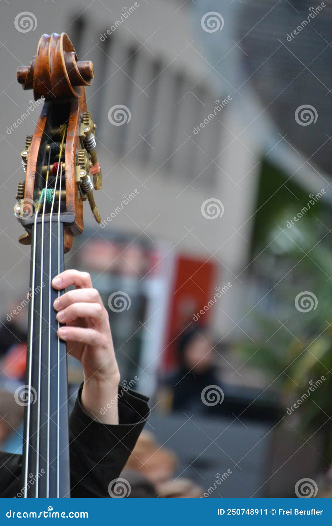 Double Bass is Played by a Human Stock Image - Image of musical, play ...