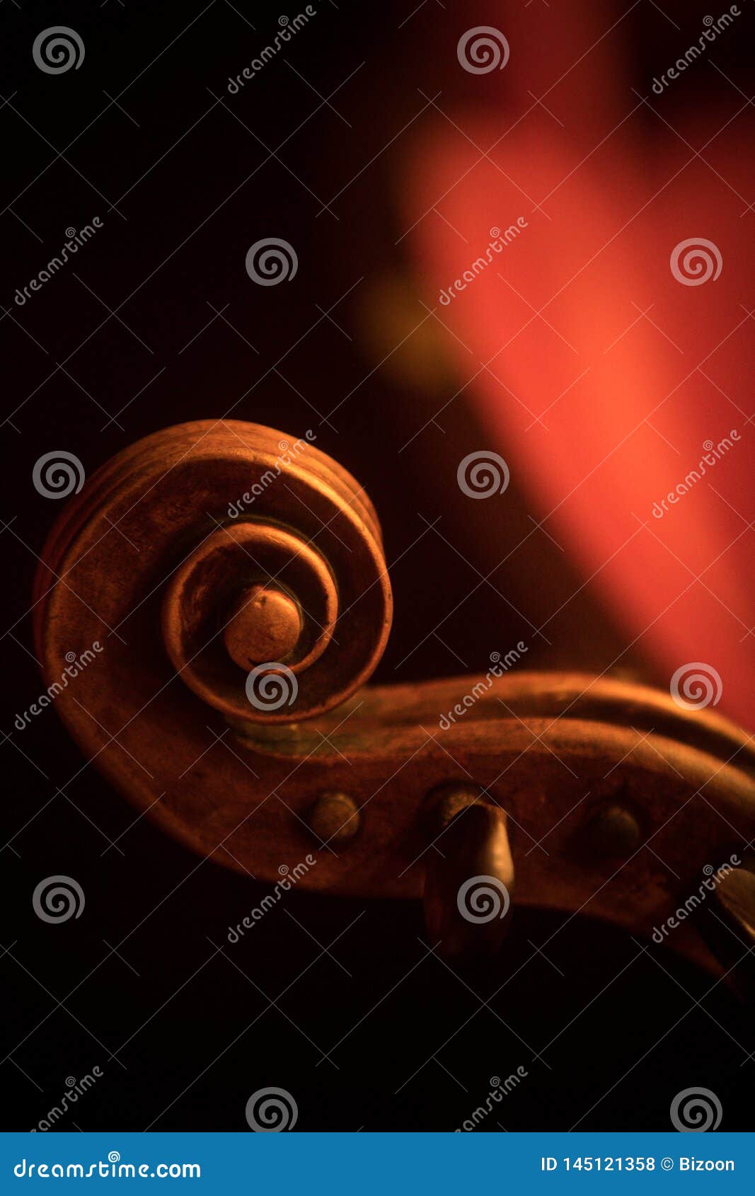 Double Bass Scroll and Tuning Pegs Stock Photo - Image of retro, sound ... Double Bass Scroll and Tuning Pegs Stock Photo - Image of retro, sound ...