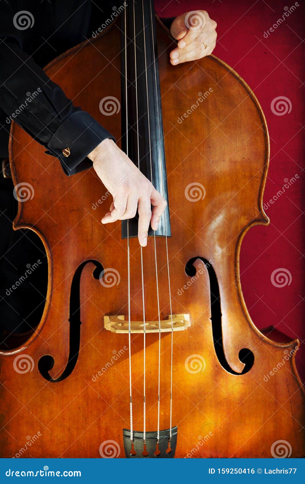 Double bass stock photo. Image of bassist, instrument - 159250416