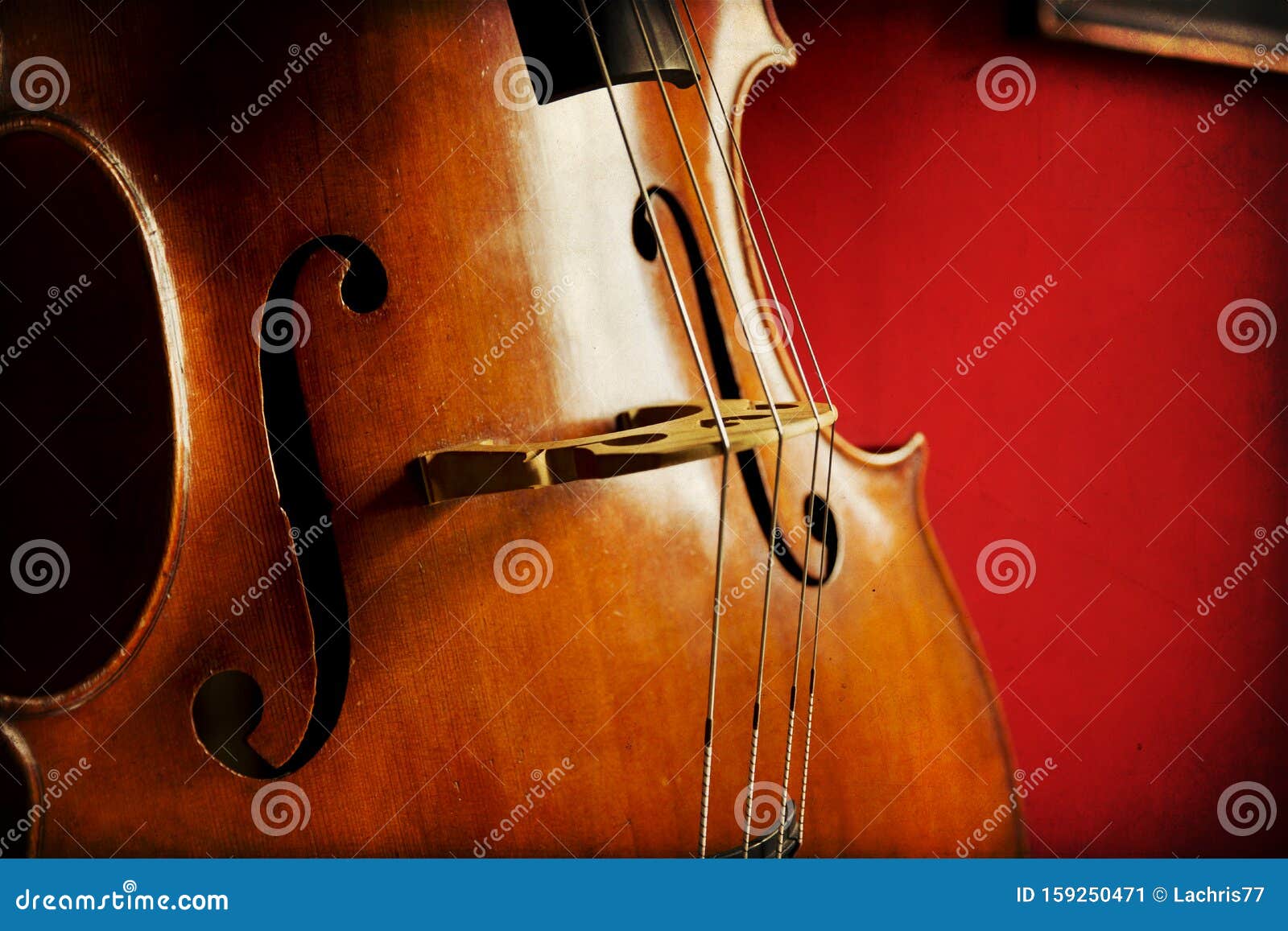 Double bass stock image. Image of bass, hands, bassist - 159250471