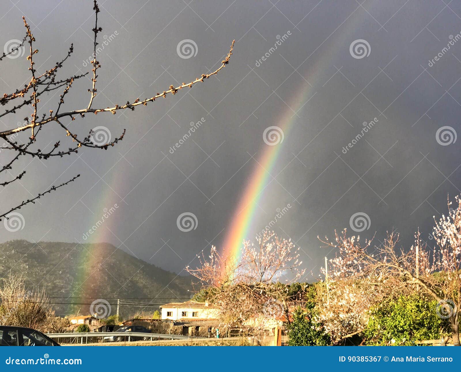 Double Beautiful Rainbow on Countryside on Blooming at Springtim Stock ...