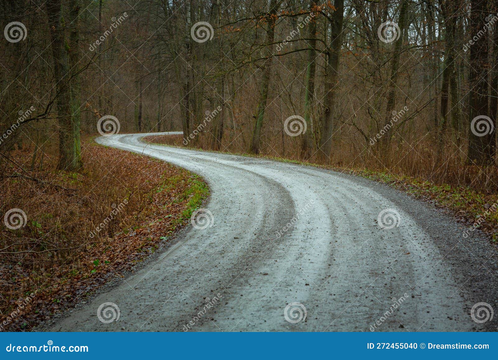 Double Bend on the Gravel Road in the Forest Stock Photo - Image of ...