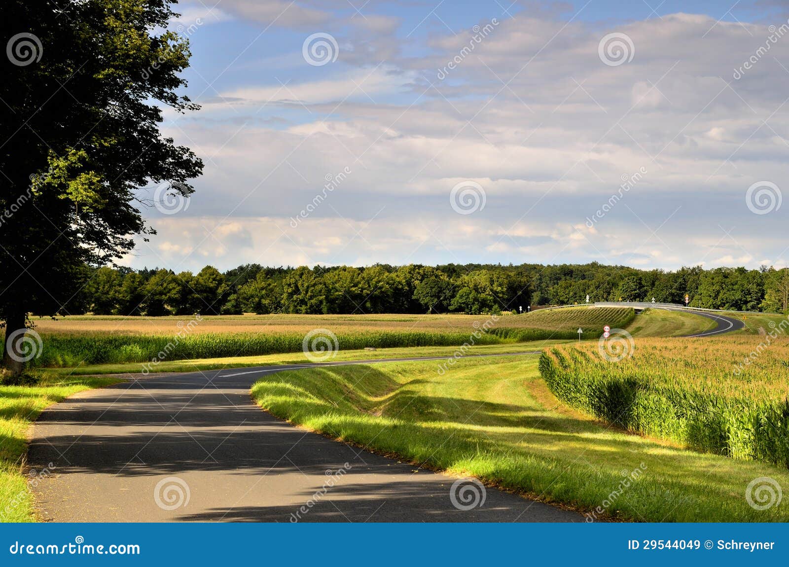 Double bend on the road stock image. Image of grass, bends - 29544049