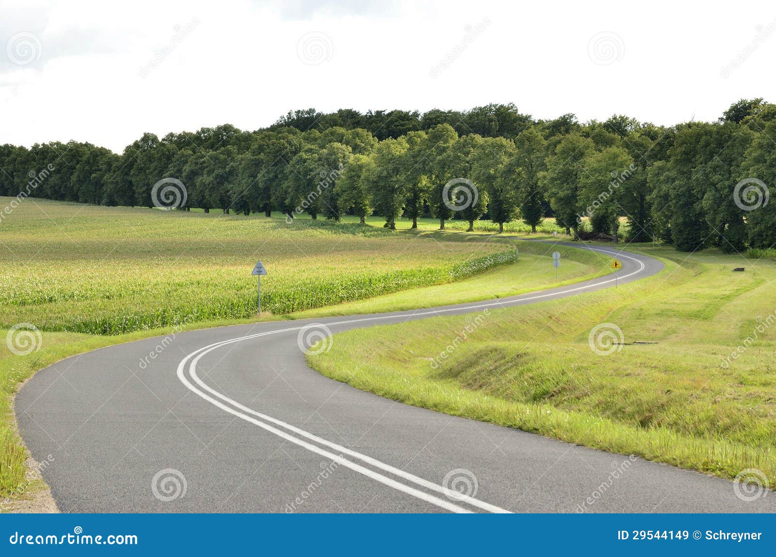 Double bend on the road stock image. Image of sunny, green - 29544149