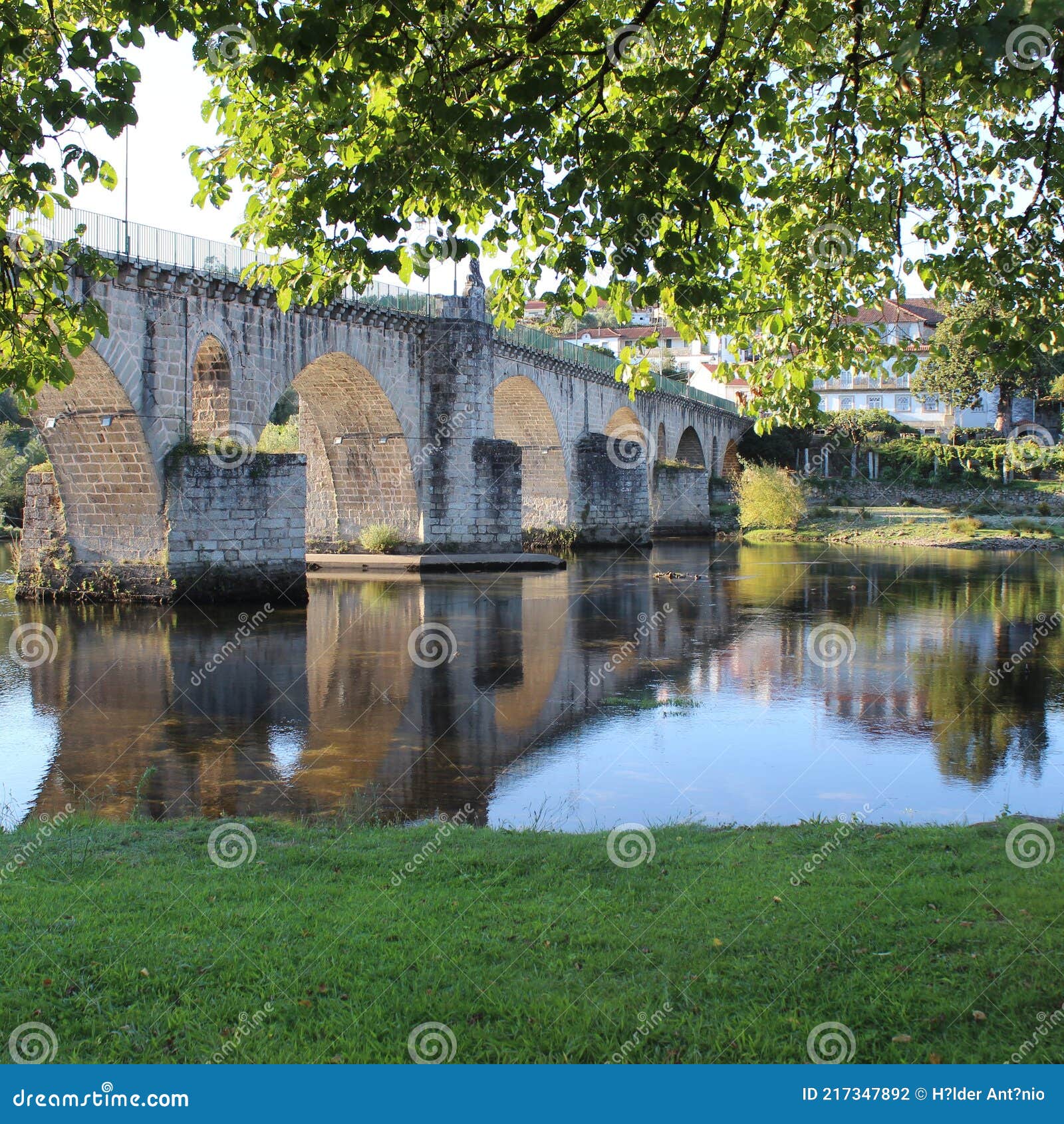 Double bridge stock photo. Image of flower, nature, lake - 217347892