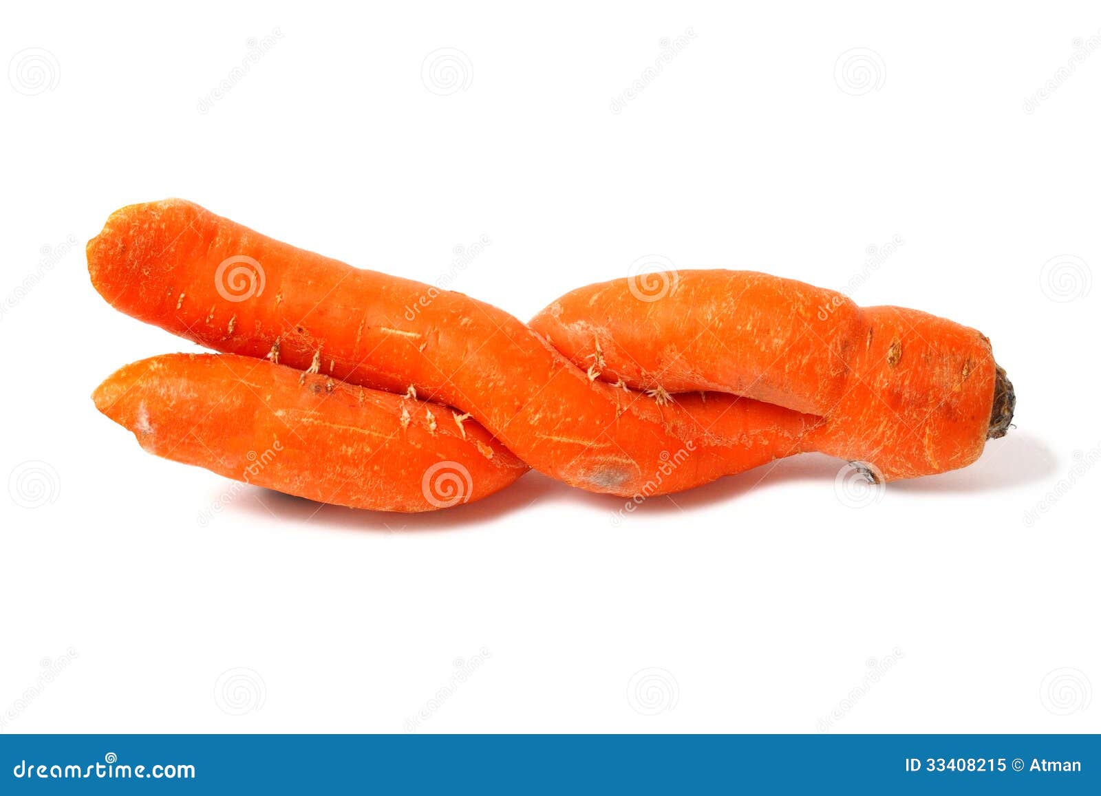 Double Carrot stock image. Image of natural, double, legs - 33408215