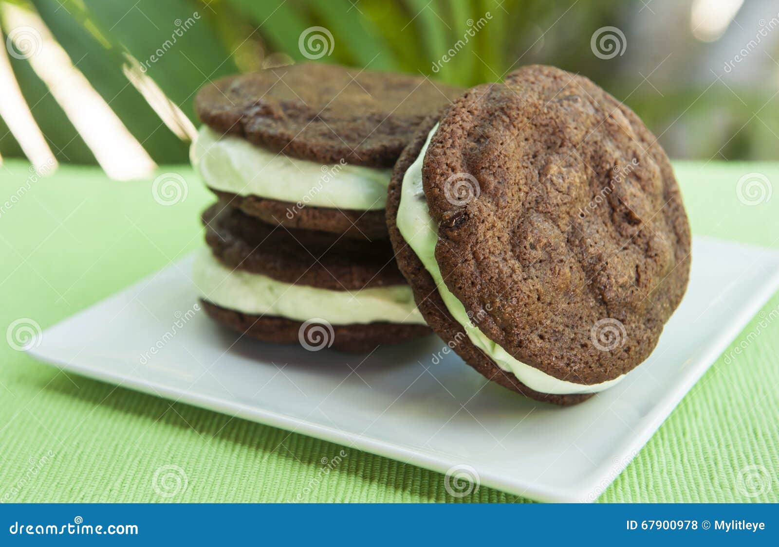 Double Chocolate Chip Mint Ice Cream Sandwich Stock Photo - Image of ...