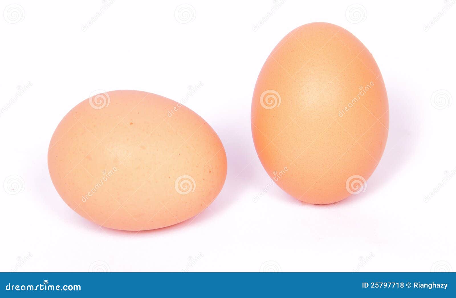 Double egg stock photo. Image of chicken, breakfast, eggshell - 25797718