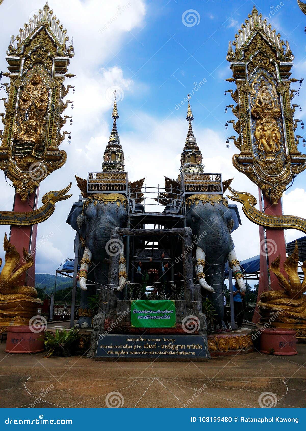 Double elephant editorial image. Image of twin, elephant - 108199480