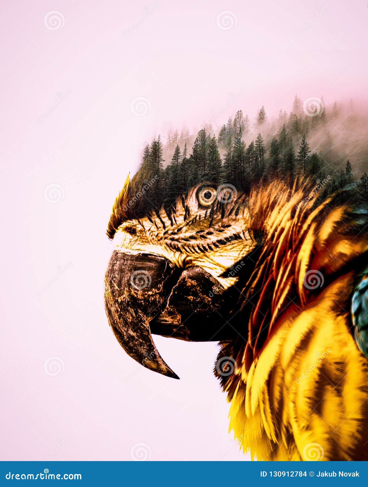 Double Exposure. the Bird and the Forest Stock Illustration ...