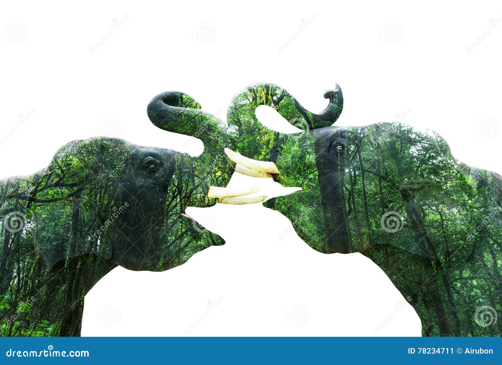 Double Elephants Stock Photos - Free & Royalty-Free Stock Photos from ...