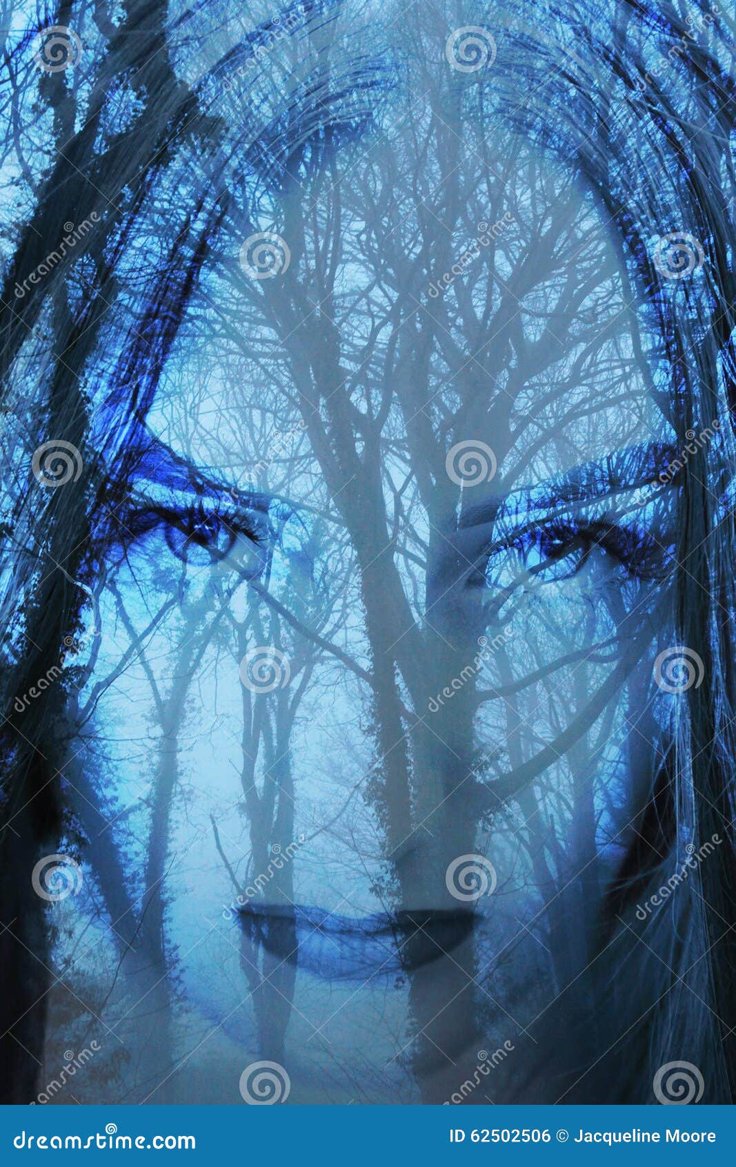 Double Exposure of a Face in Trees Stock Photo - Image of woman ...
