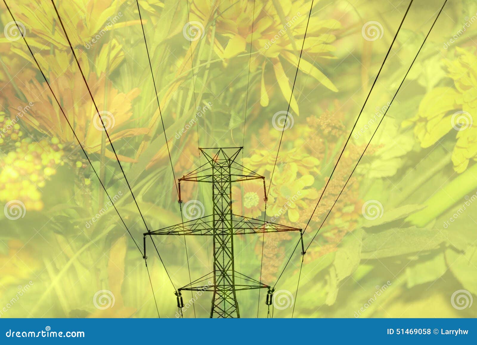 Double Exposure High Voltage Power Lines with Flower Background Stock ...