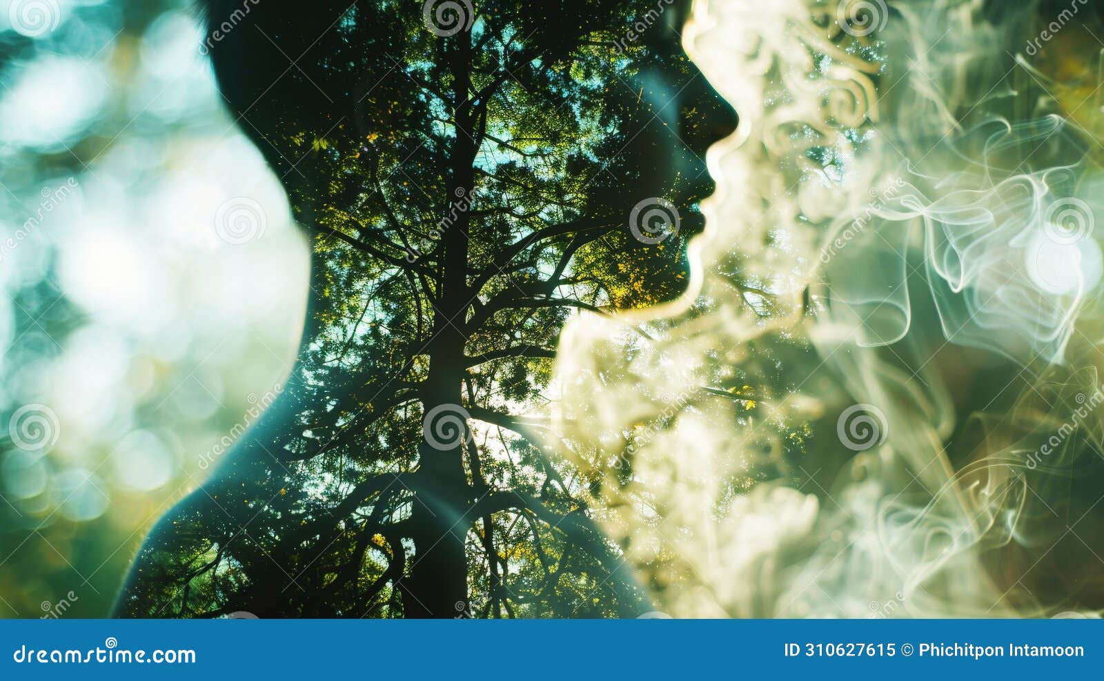 A Double Exposure of a Human Lung and Trees on Forest the Background ...
