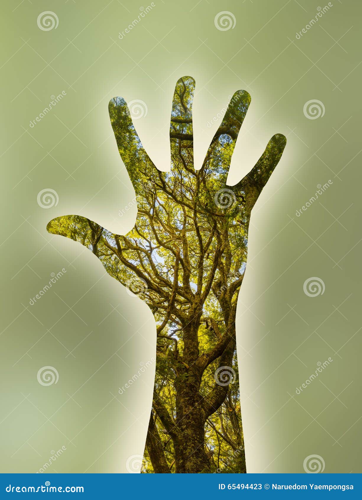 Double Exposure Image of Hand and Forest Stock Image - Image of green ...