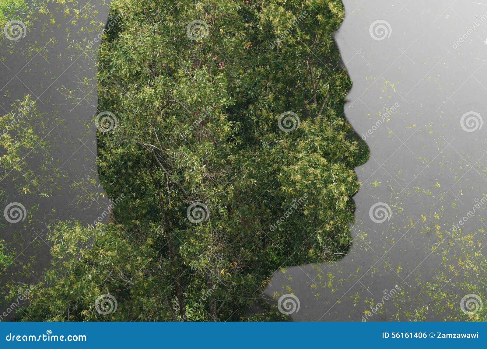 Double Exposure Image of Man Faces,multiply with Trees. Stock Photo ...