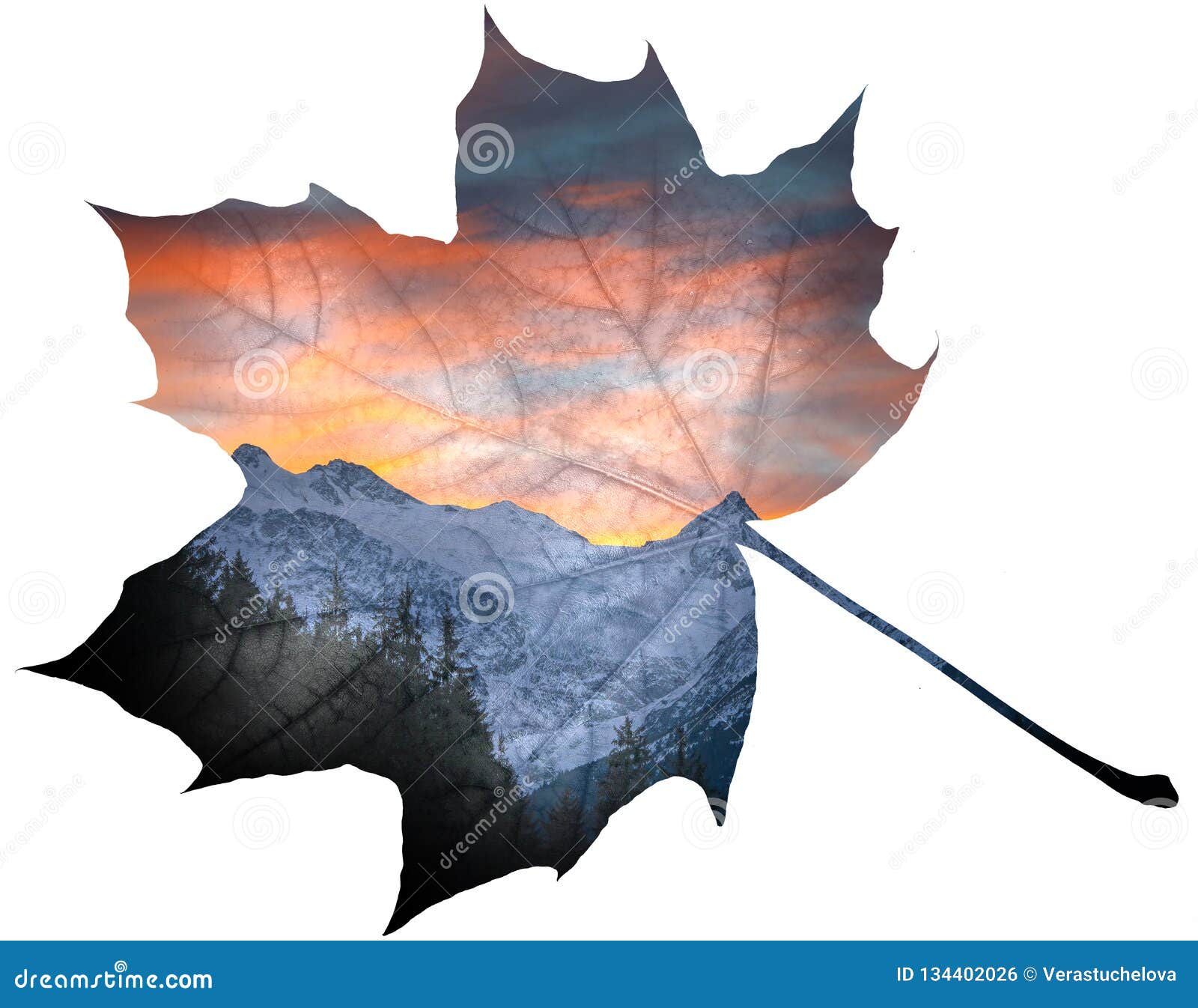 Double Exposure Leaf and Alps in Winter Stock Photo - Image of frosty ...