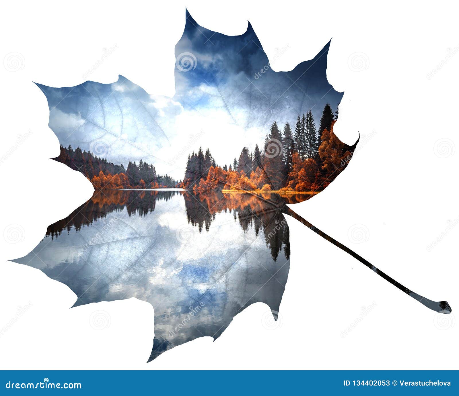 Double Exposure Leaf and Landscape Stock Image - Image of pond, park ...