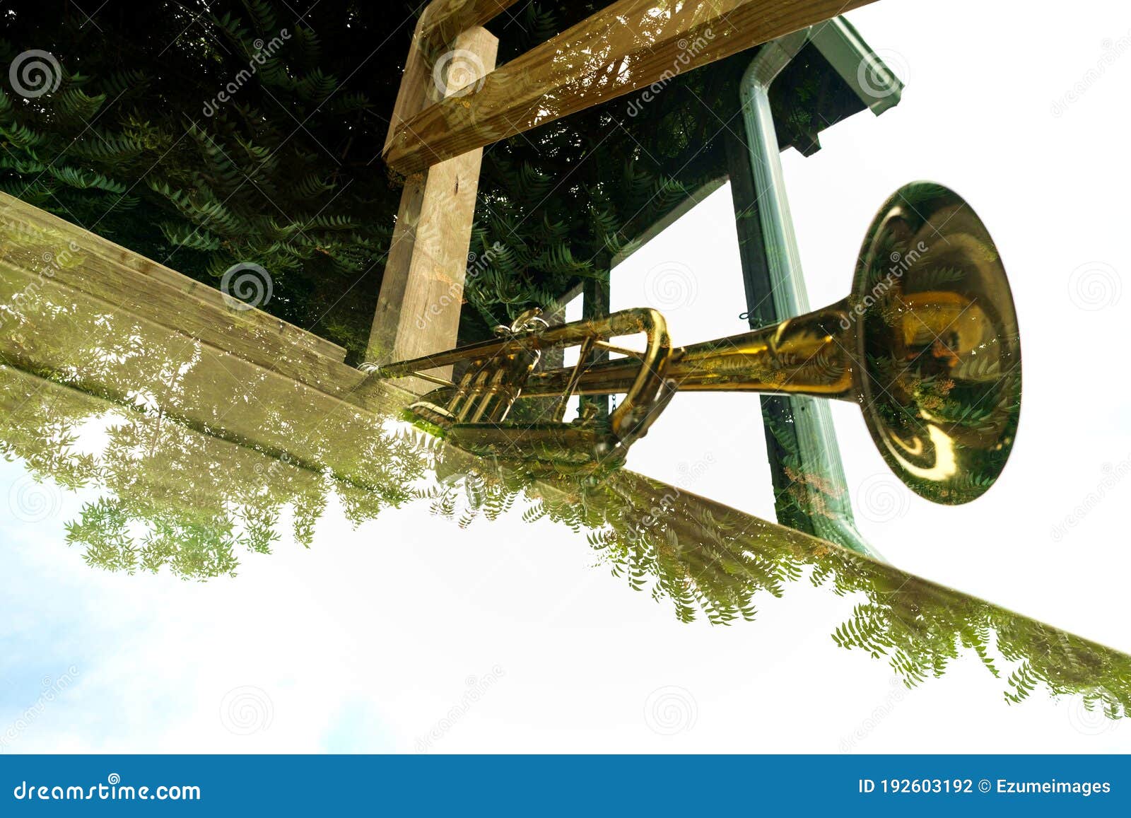 Double Exposure Nature Trumpet Stock Photo - Image of instrument ...