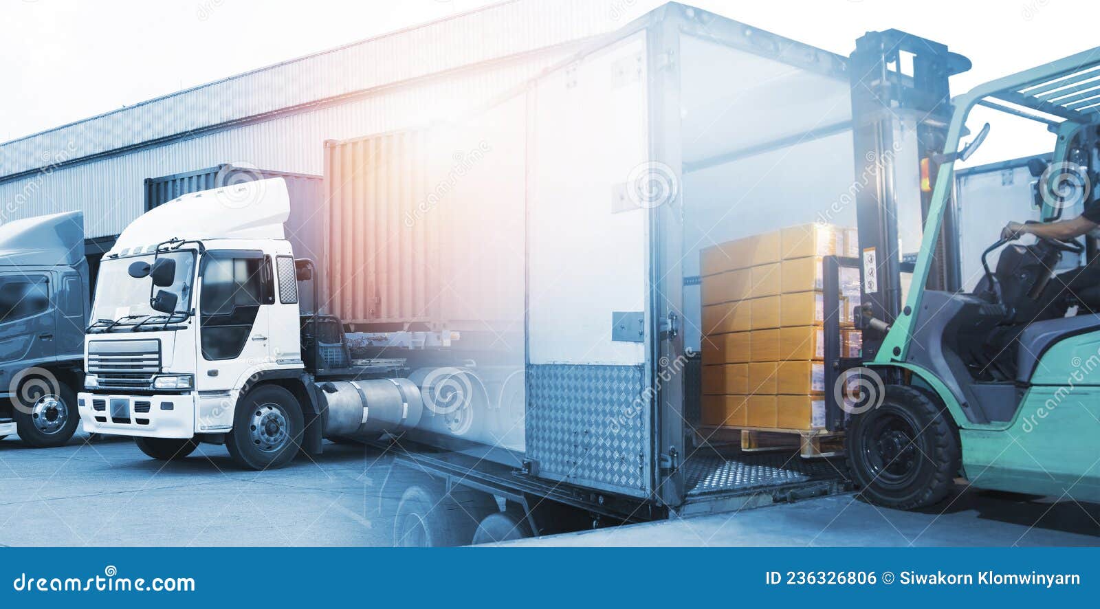 Forklift Tractor Loading Cargo Boxes Pallets Into Container Trucks ...