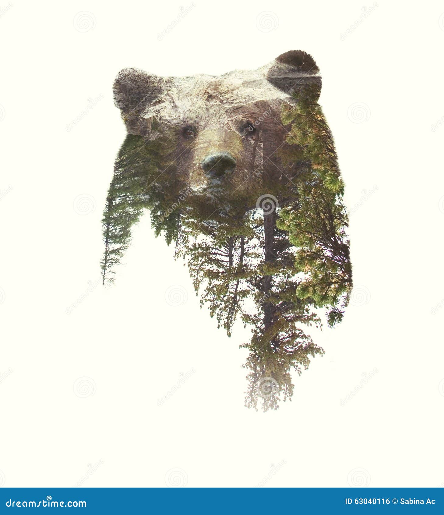 Double Exposure Portraits of Bear and Green Forest Stock Photo - Image ...