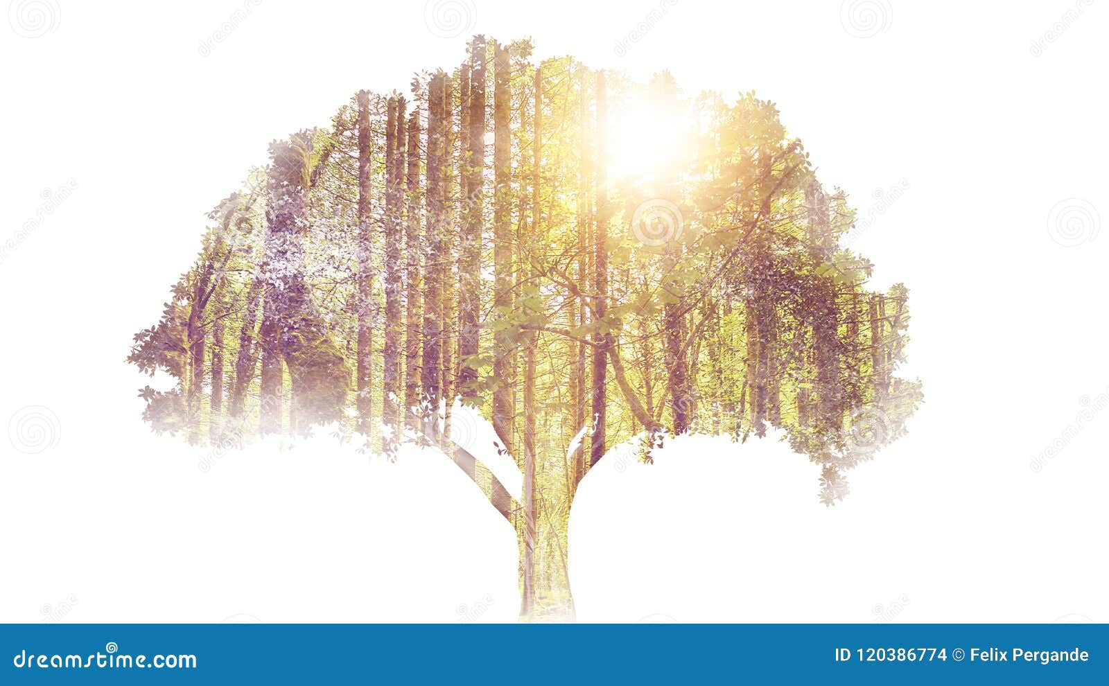 Tree double exposure stock photo. Image of conceptual - 120386774