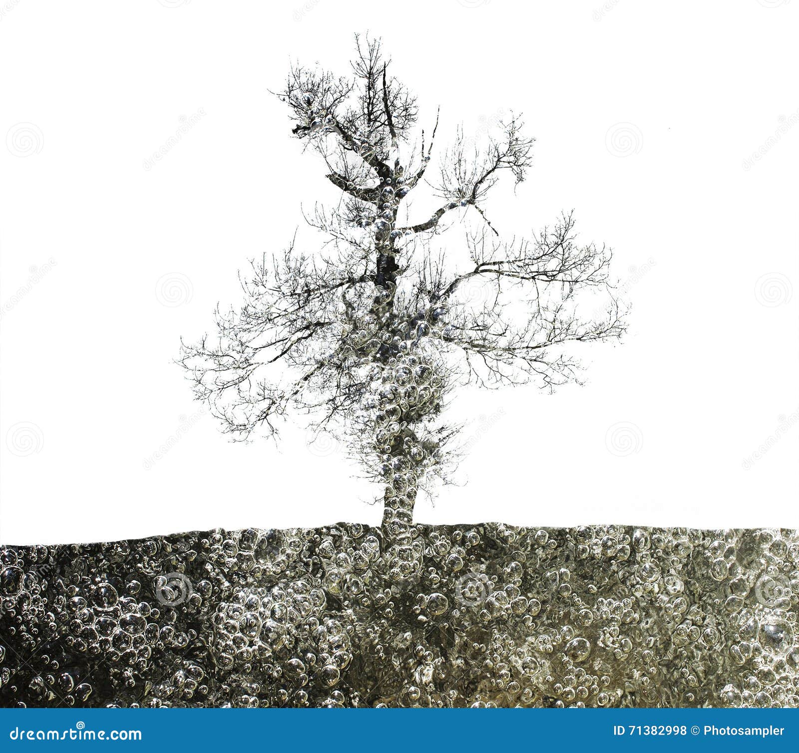 Double exposure tree stock photo. Image of idea, tree - 71382998