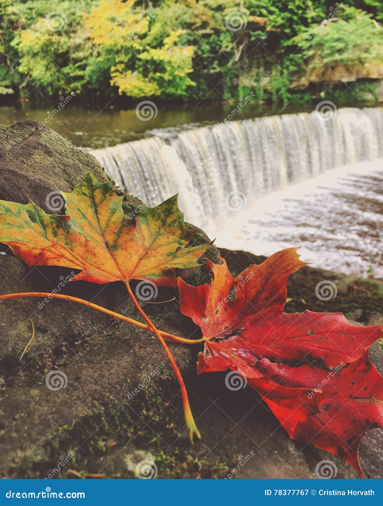 Double fall stock image. Image of leaves, falls, beautiful - 78377767