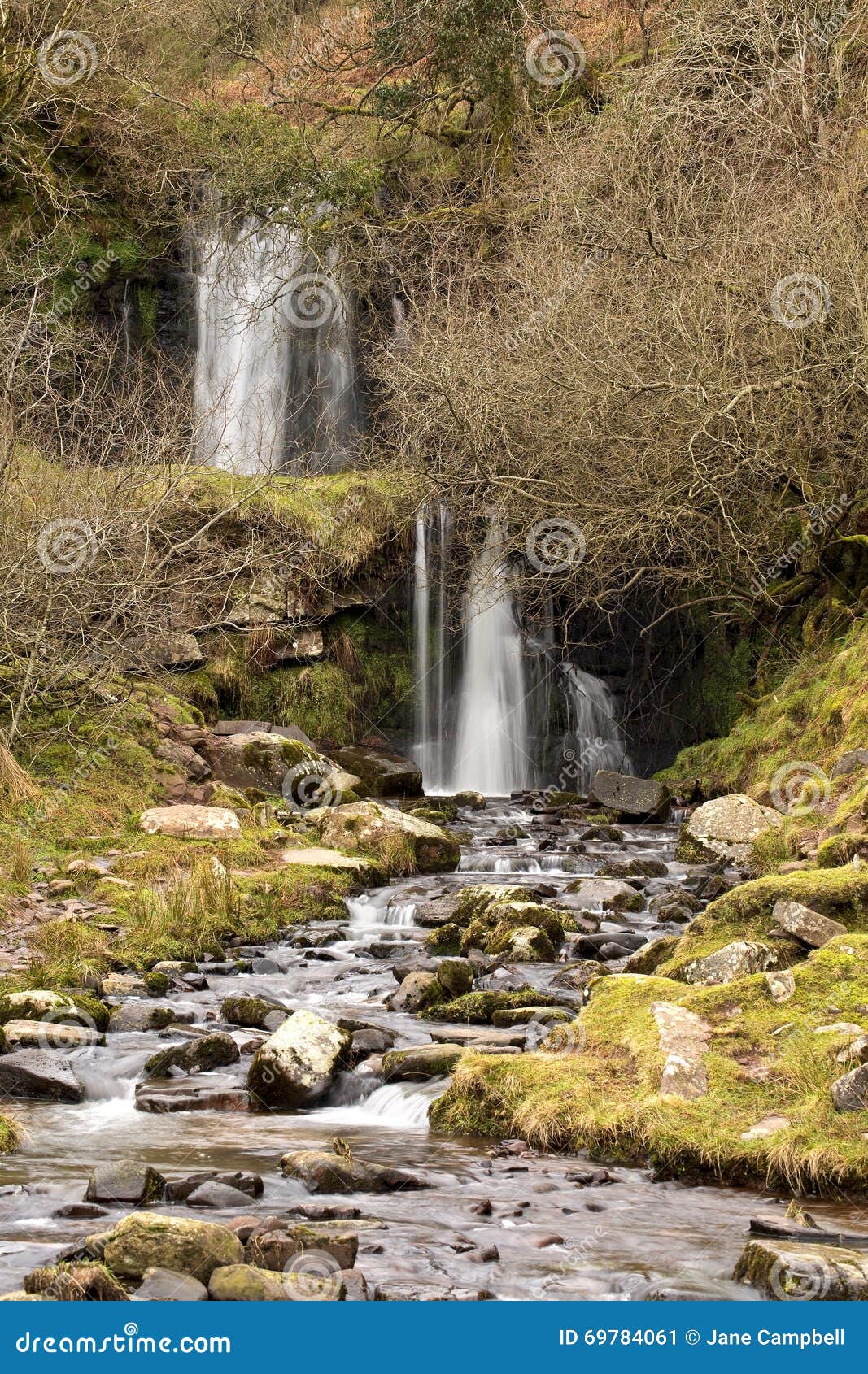 Double Fall. stock image. Image of drenched, rain, bare - 69784061