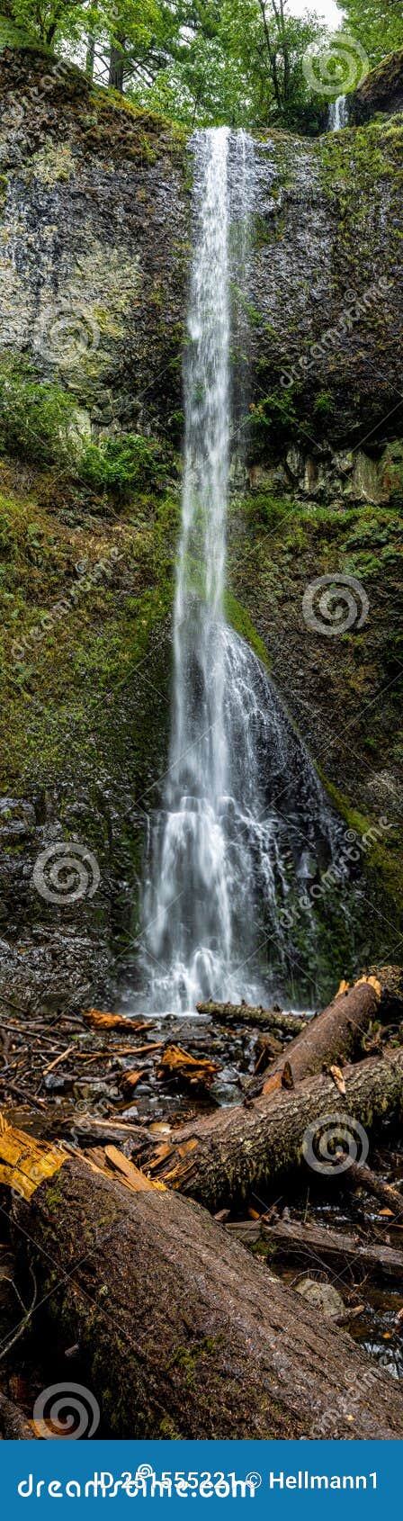 Double Falls in Oregon stock image. Image of gorge, peace - 251555221