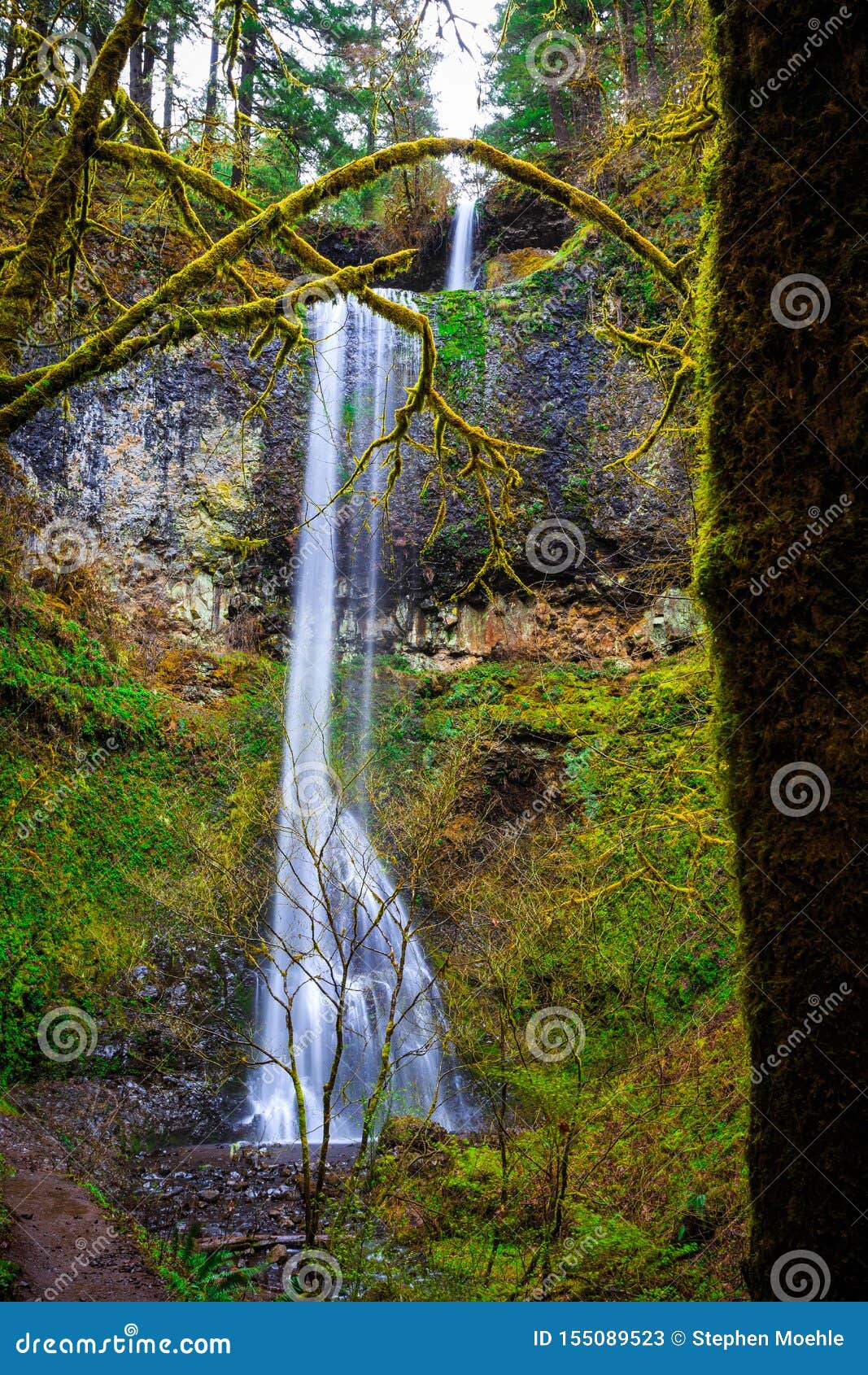 Double Falls at Silver Falls State Park Stock Image - Image of cascade ...