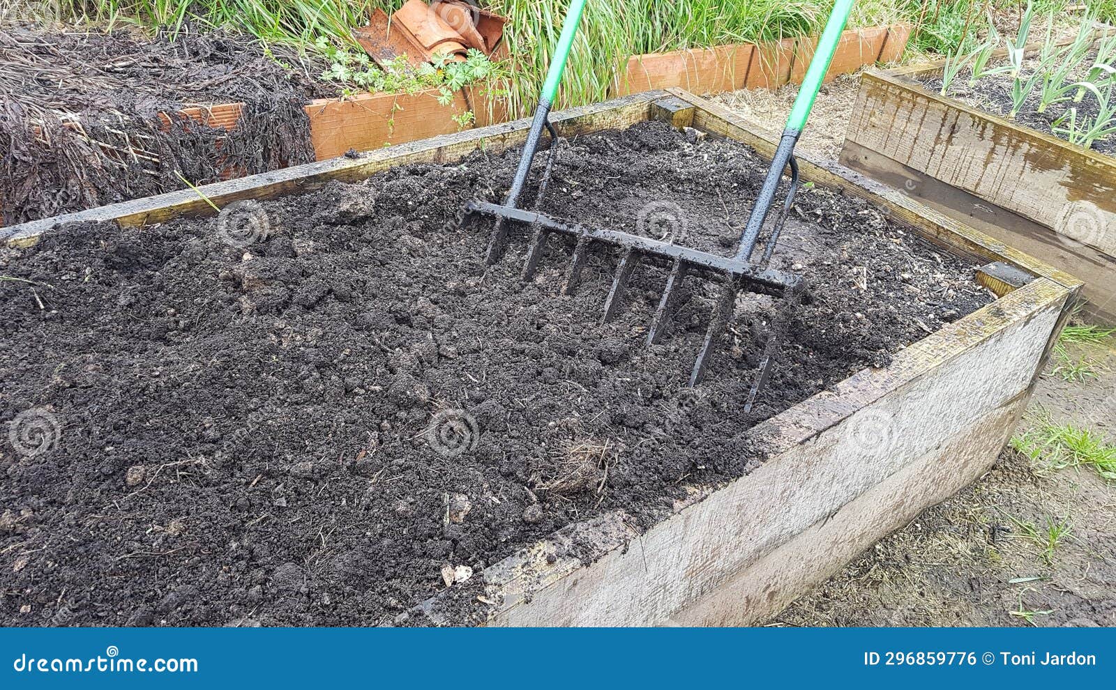 Double-handled Pitchfork on the Vegetable Garden Soil Tool Working on ...