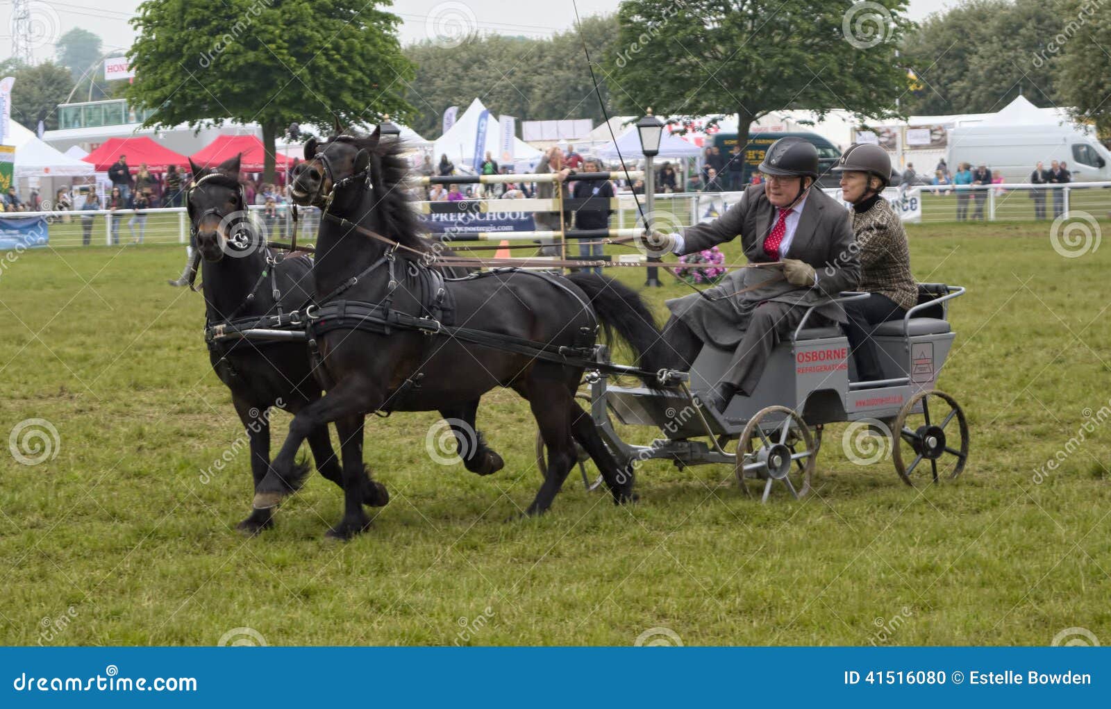 Double Harness Scurry Driving Editorial Image - Image of show, pony ...