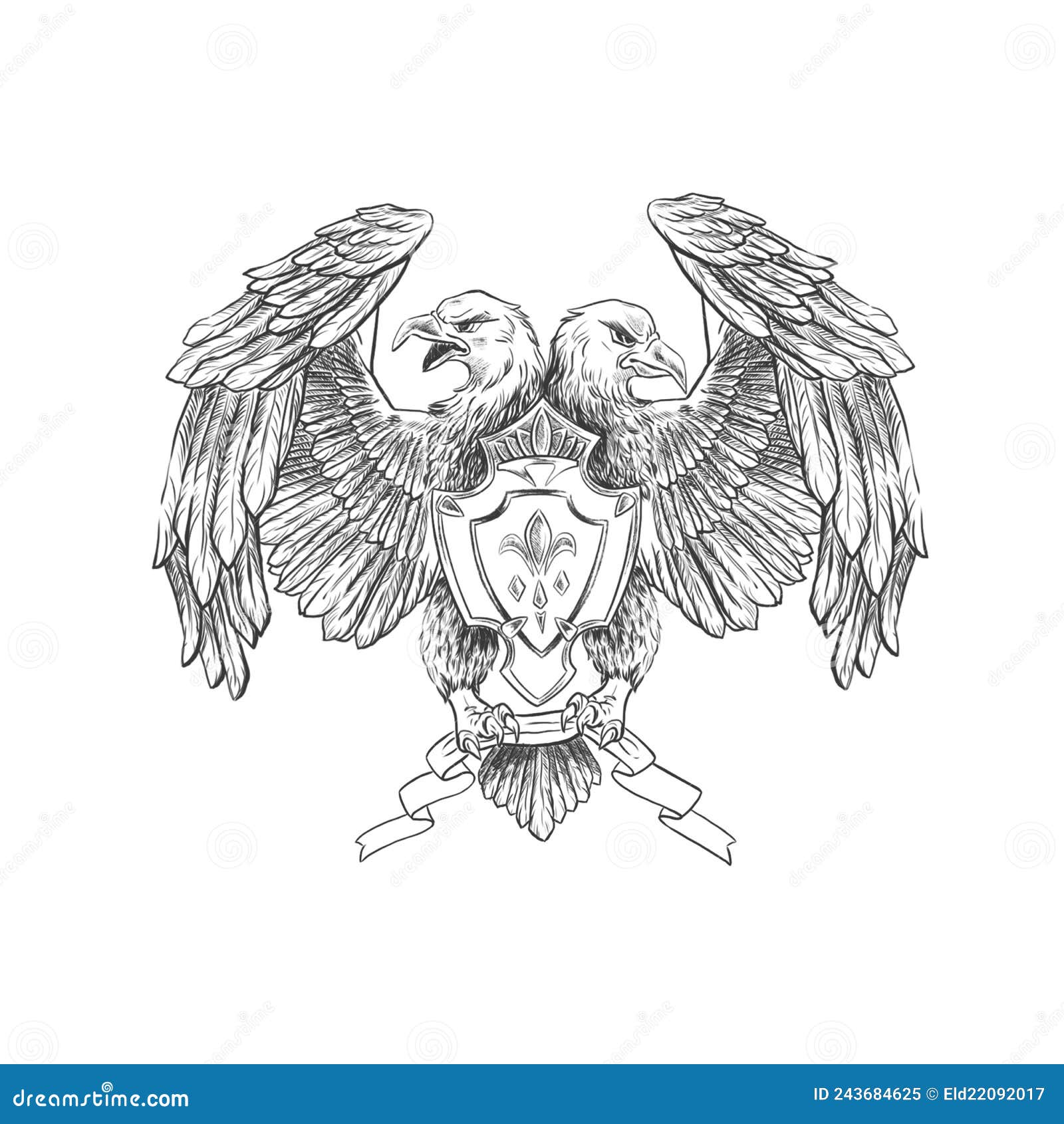 Double-headed Eagle Hand Drawn Isolated on White Stock Illustration ...