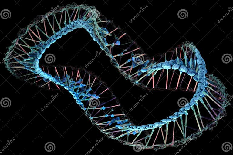 The Double-helical Structure of Dna, with the Base Pairs Visible Stock ...