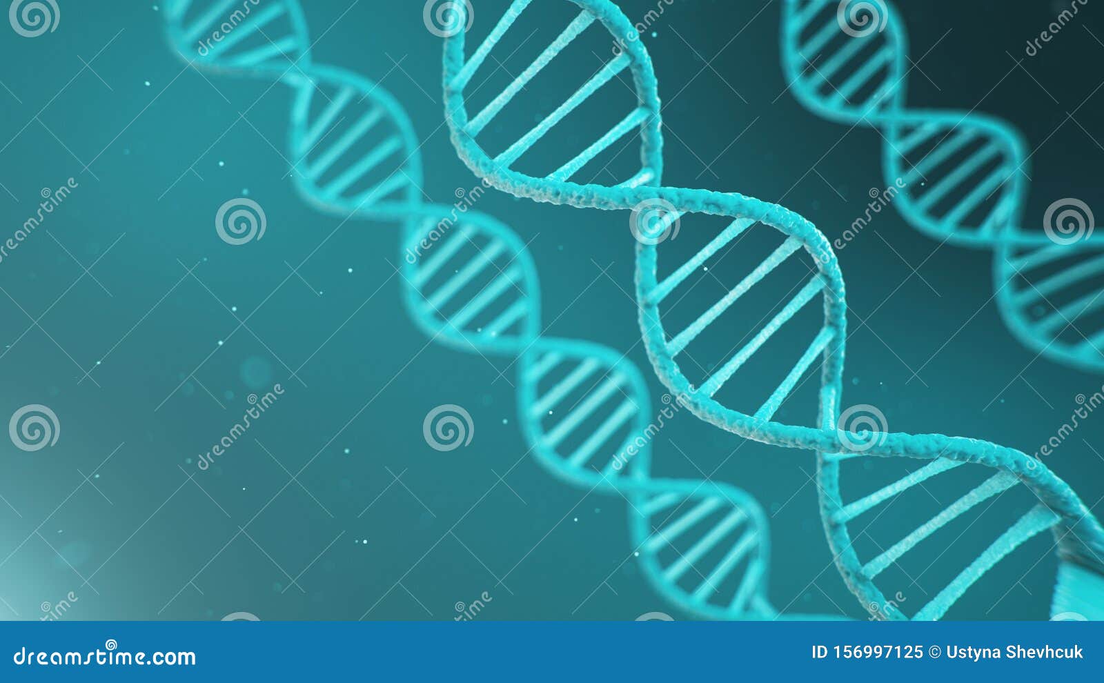 Double Helical Structure of DNA, DNA Molecule, RNA. the Concept of ...
