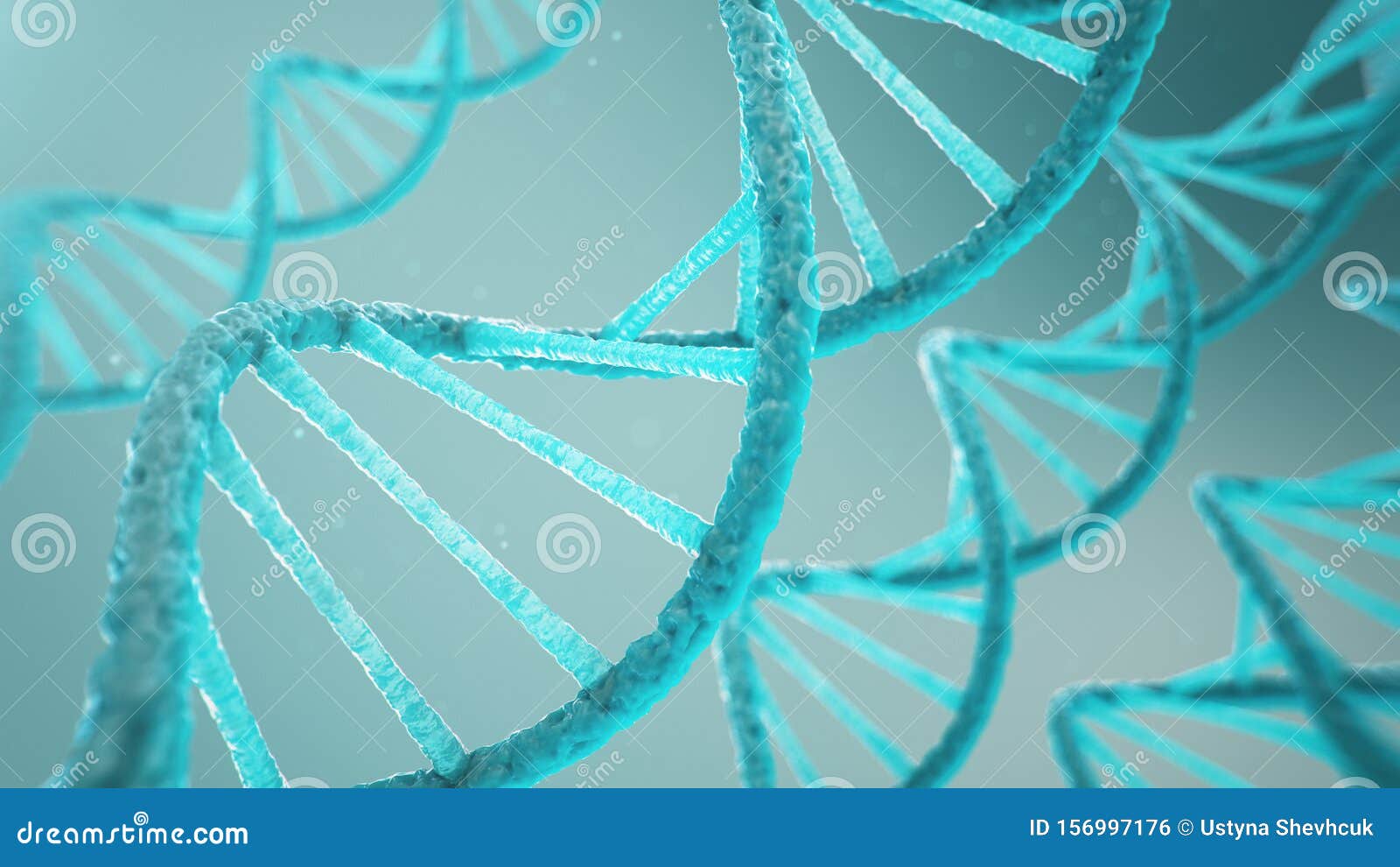Double Helical Structure of DNA, DNA Molecule, RNA. the Concept of ...
